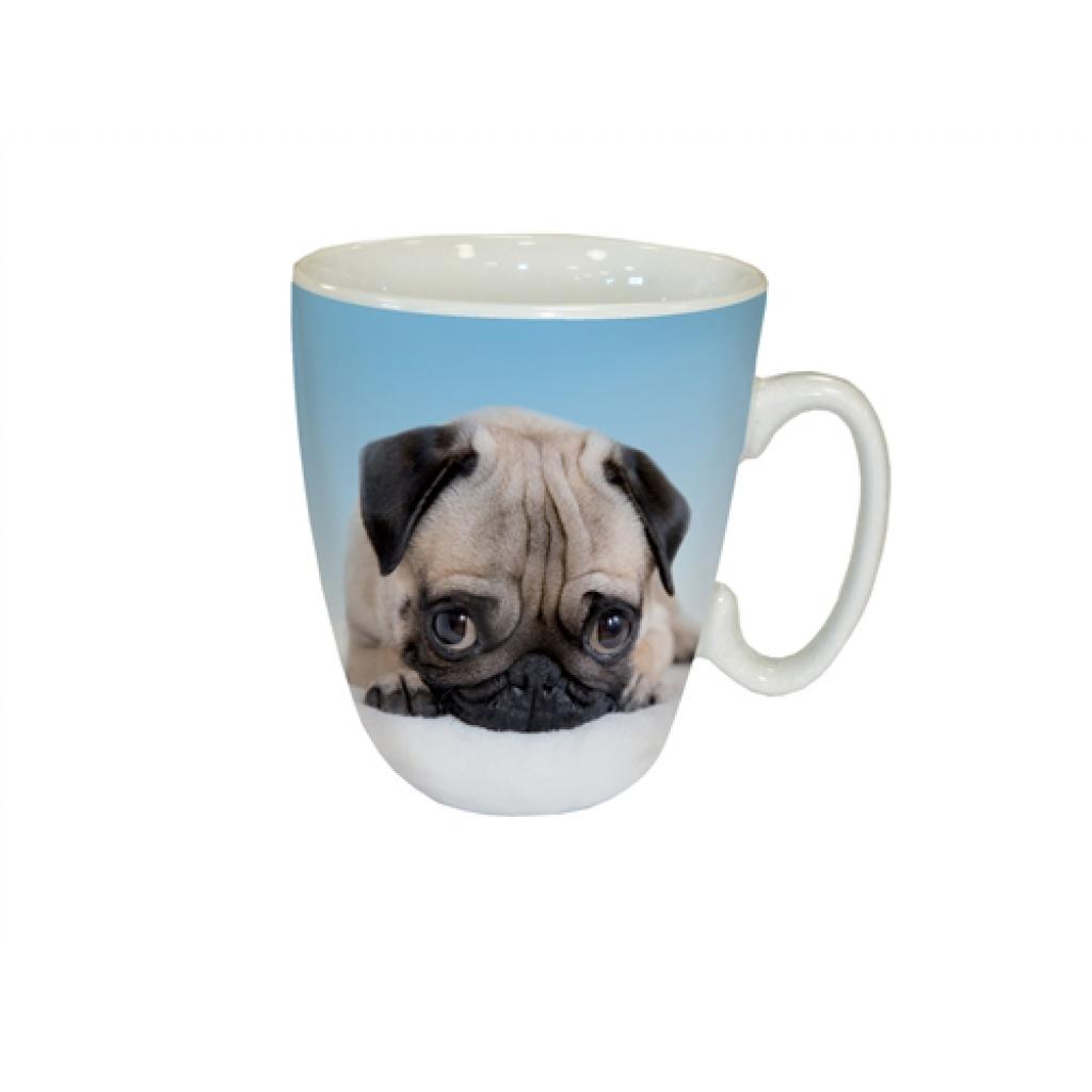 Get Well Soon Card - Cute Pug