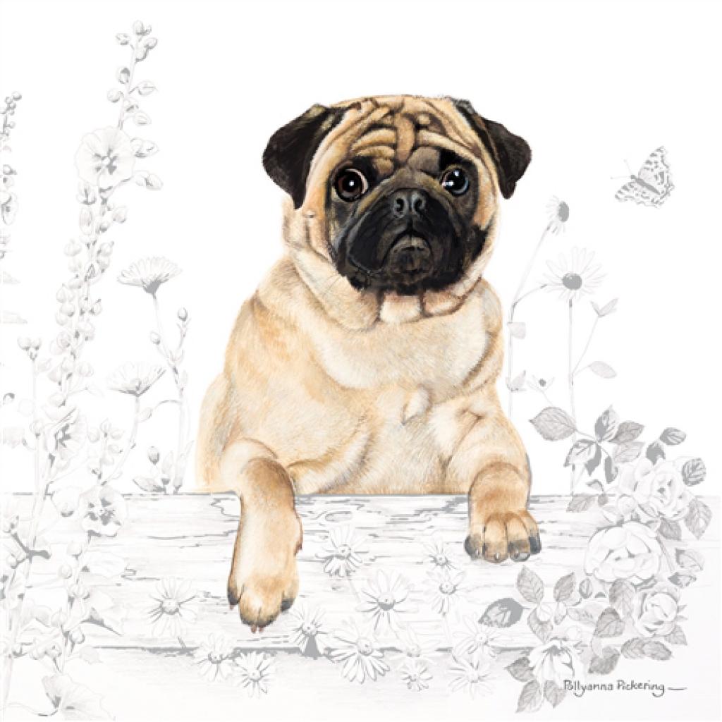 Get Well Soon Card - Cute Pug
