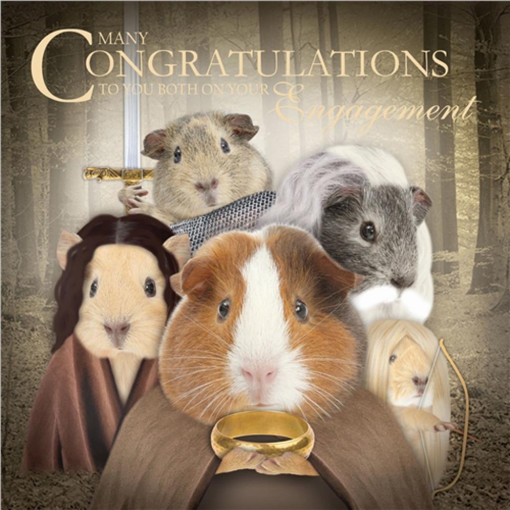 Congratulations Cards | Animal Gift Club