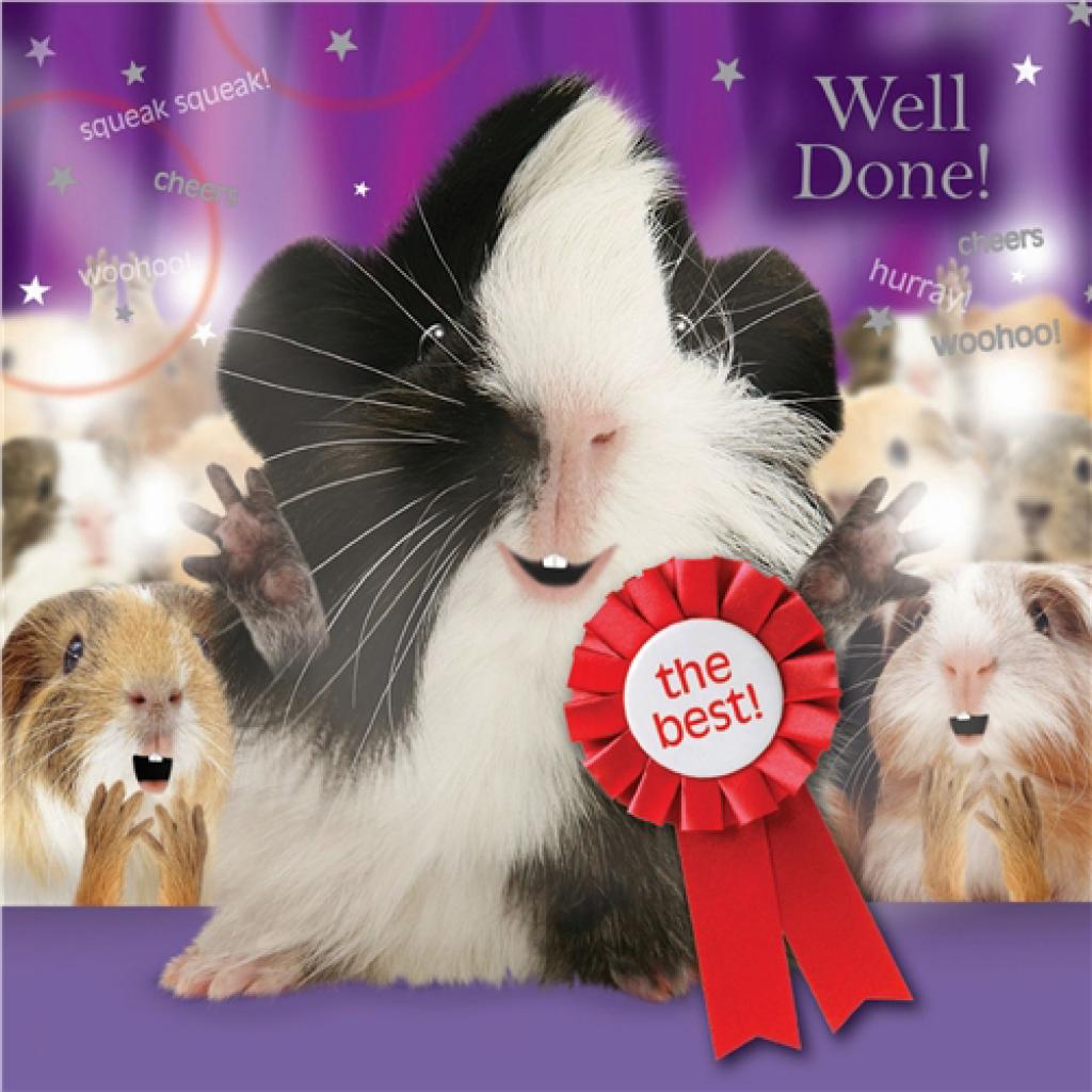 Congratulations Cards | Animal Gift Club