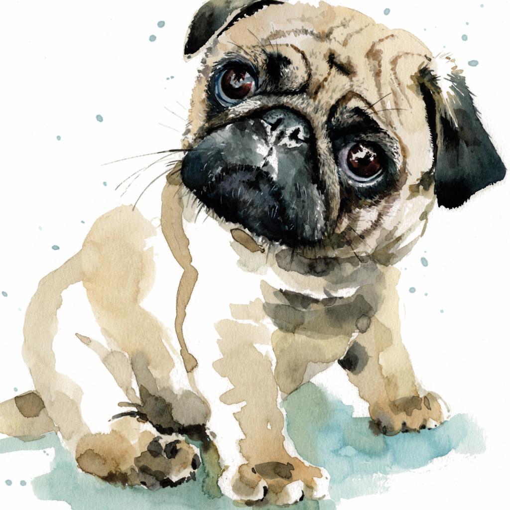 Get Well Soon Card - Cute Pug