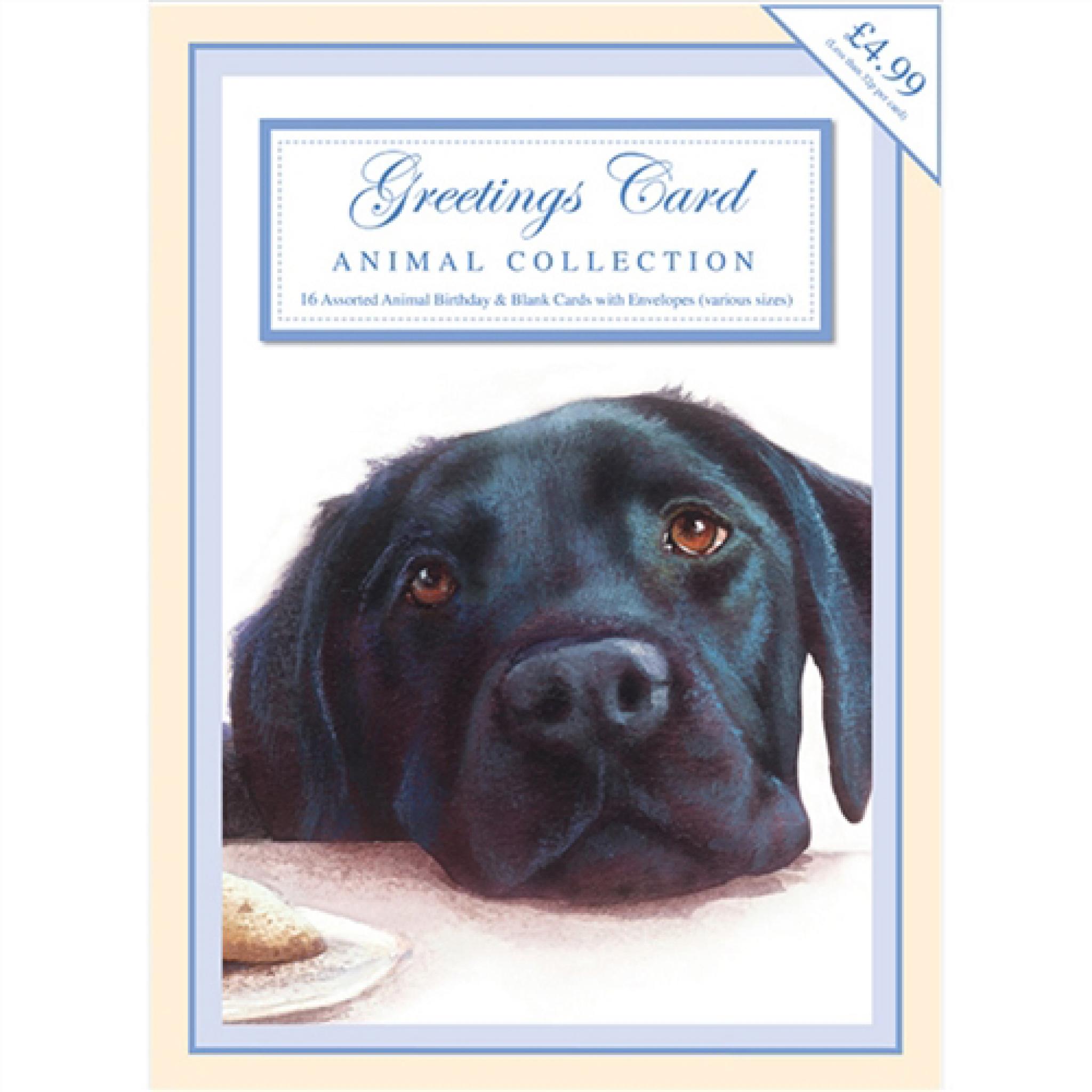 Bumper Box Card Assortment - Animal