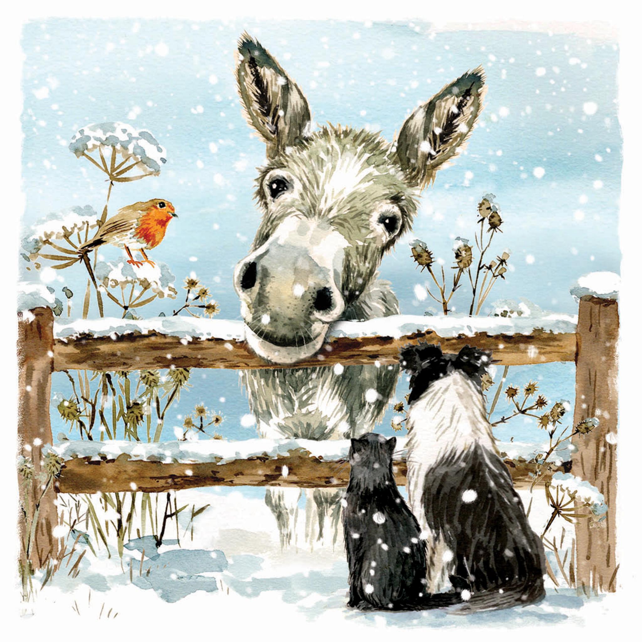 Charity Christmas Card Pack Donkey Friends