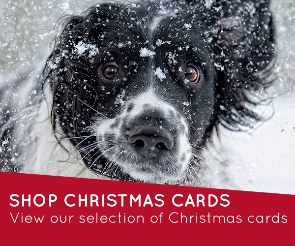 Home | Animal Gift Club