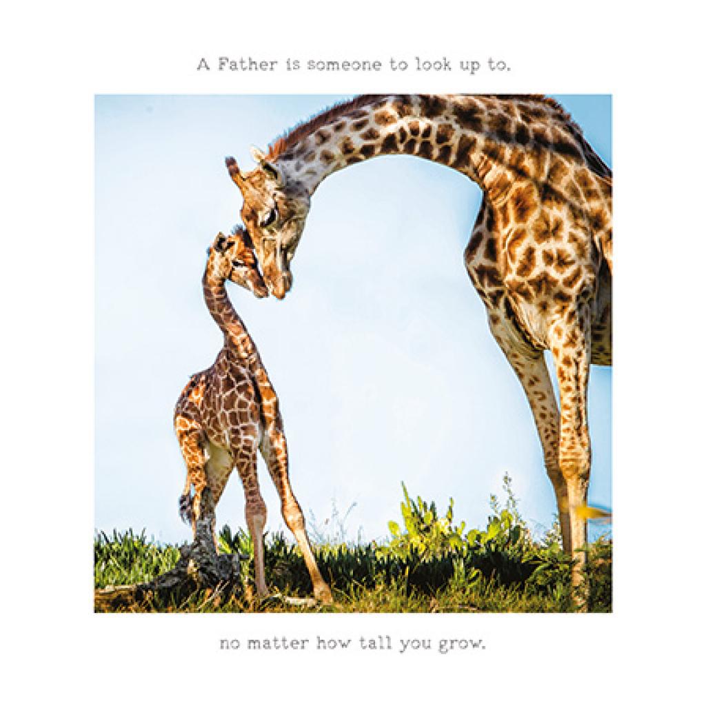 Fathers Day Cards | Animal Gift Club