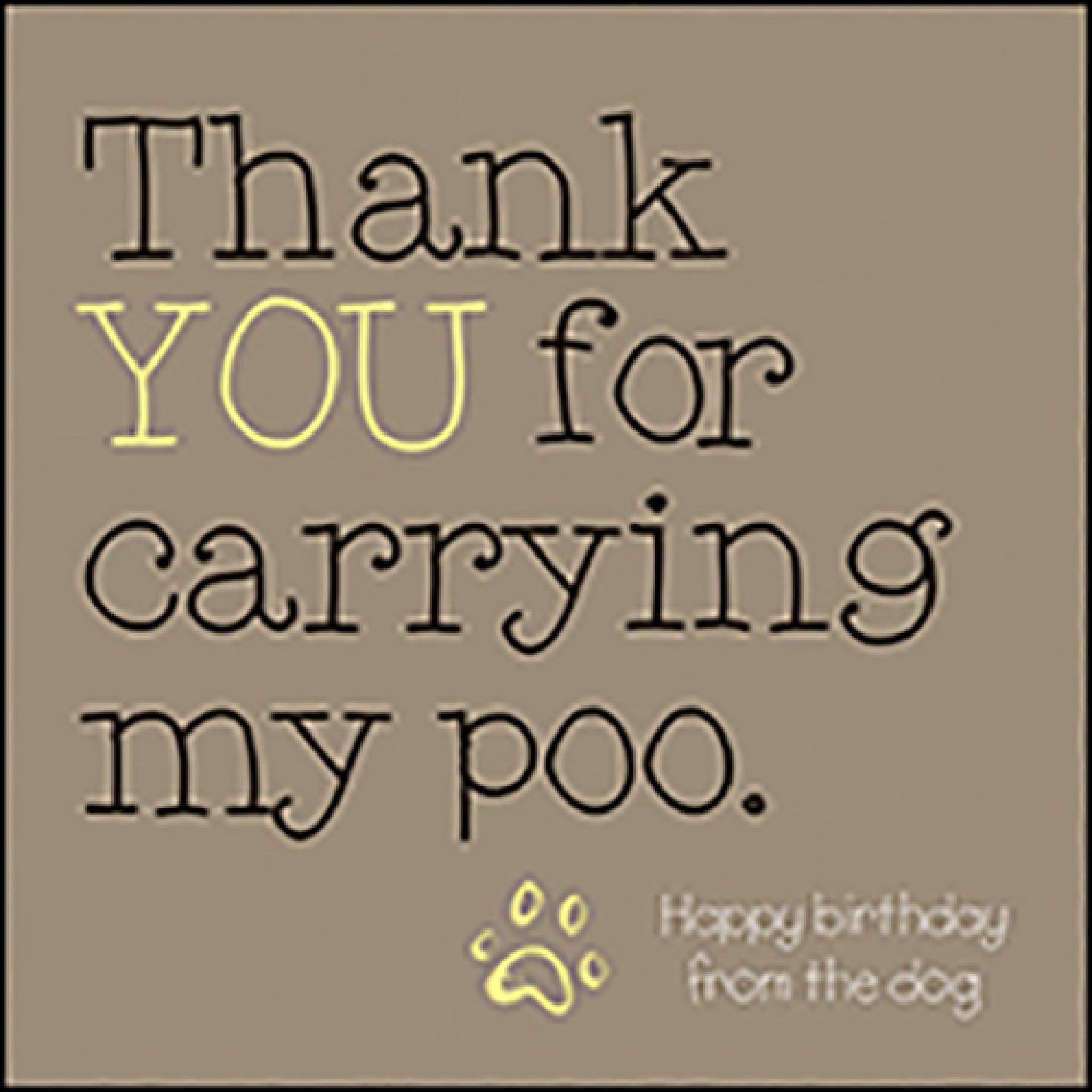 Wordies Card Collection - Thank You For Carrying My Poo