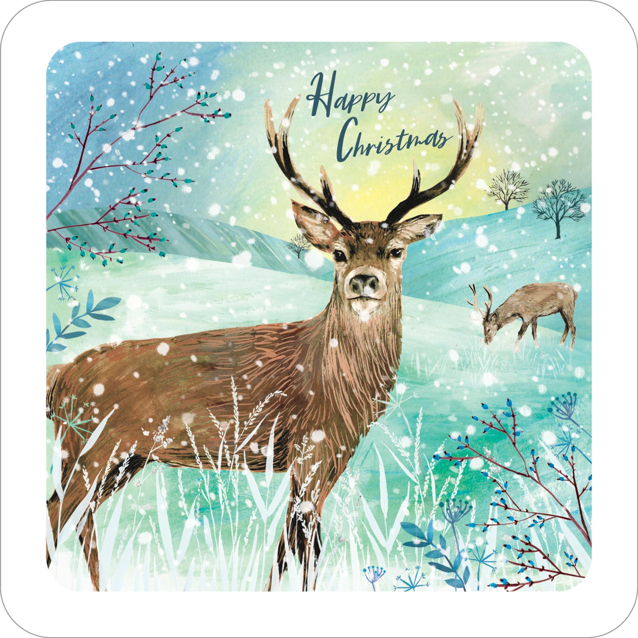 RSPB Luxury Xmas Cards (10) - Winter Fields