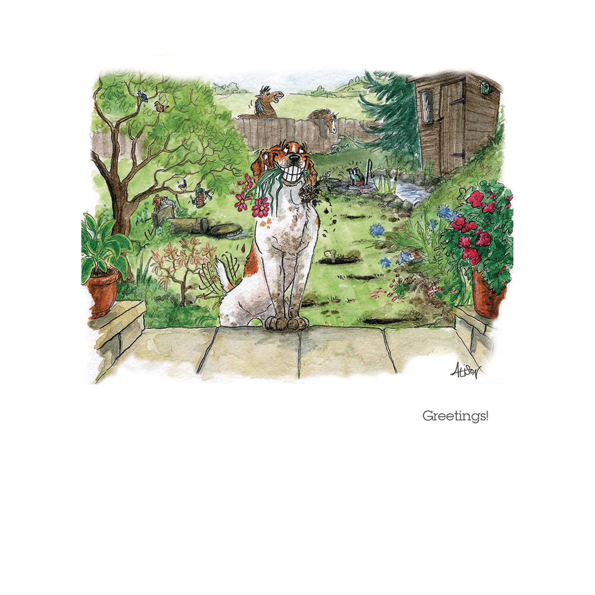 Alison's Animals - Greetings