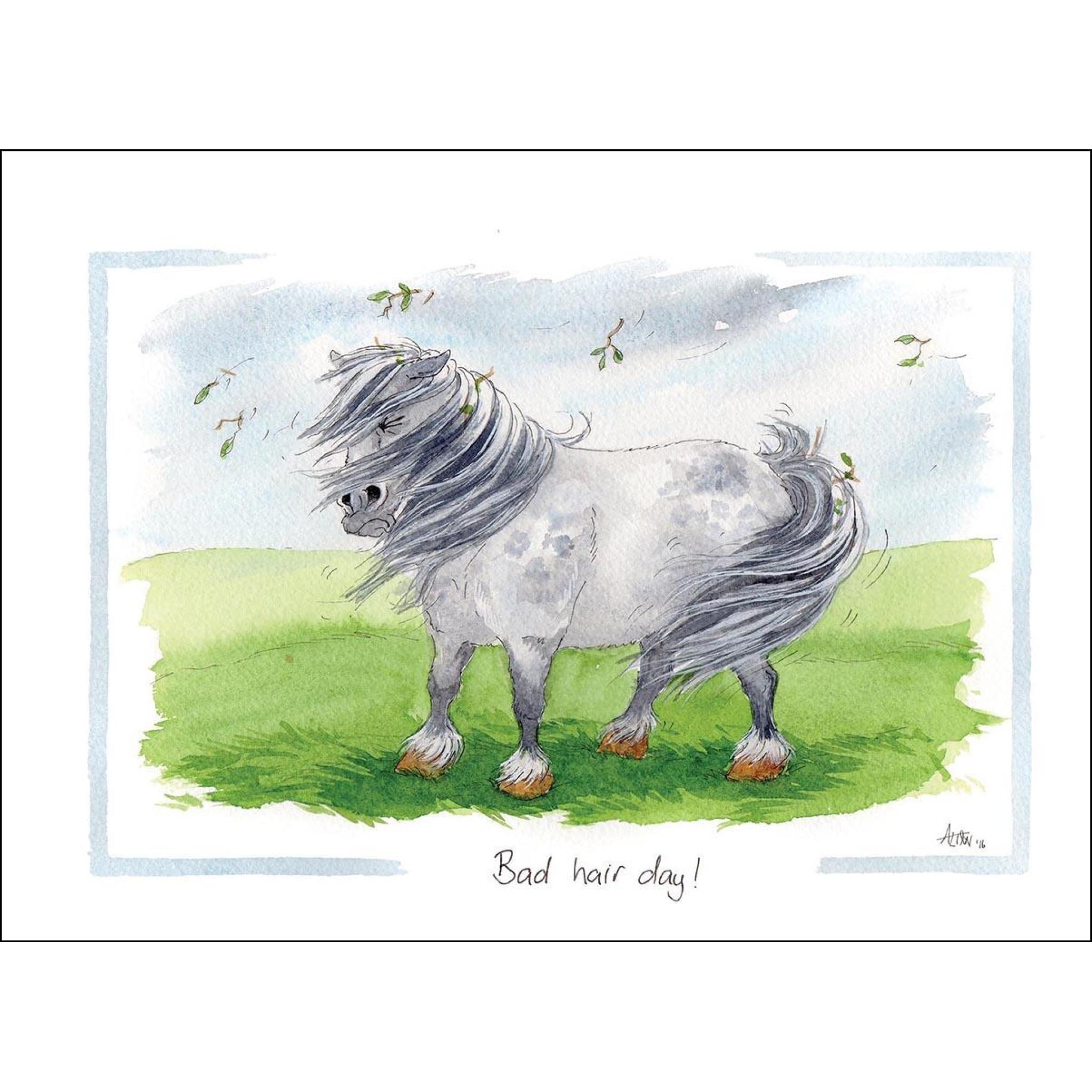 Alisons Animals Card - Bad hair day