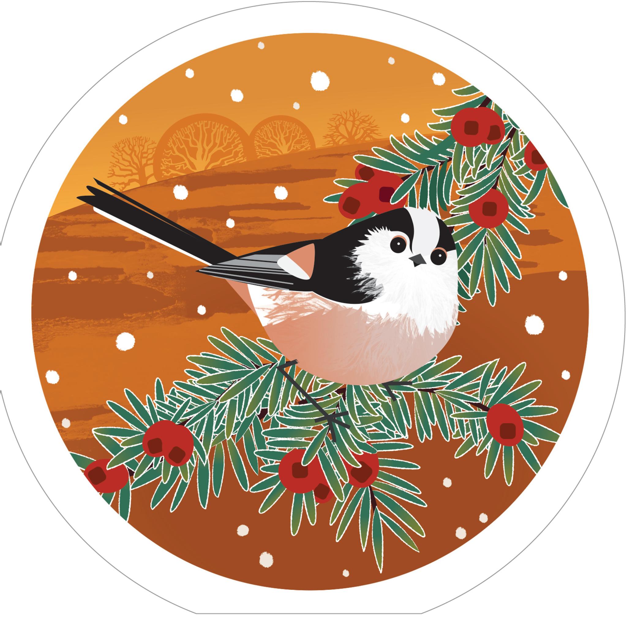 Winter Birds - RSPB Luxury Christmas 10 Card Pack