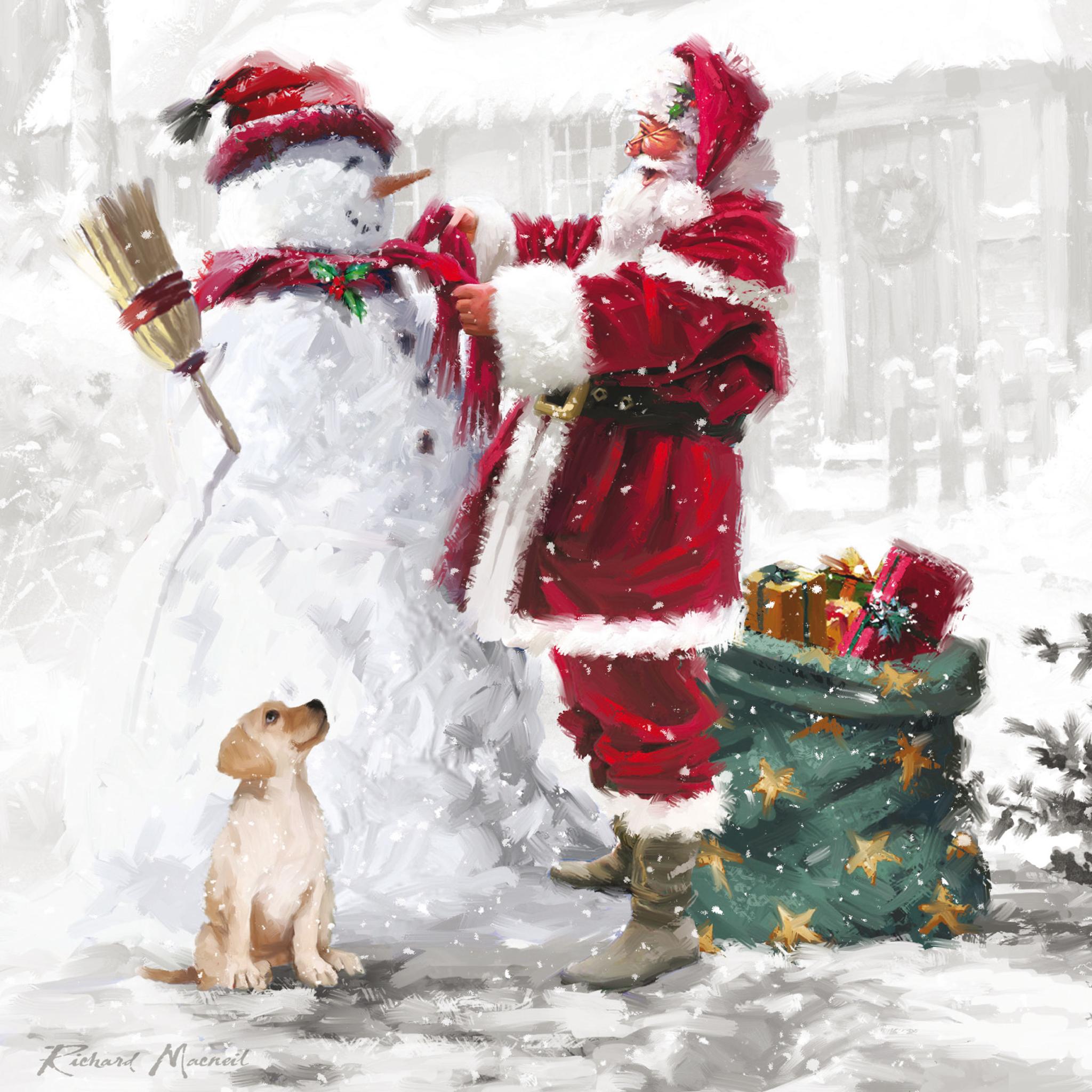 Assorted Christmas Cards - Santa's Friend